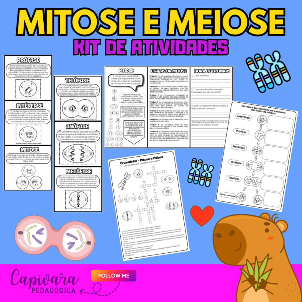 Capivara Pedagógica – Recursos didáticos criativos para transformar as suas aulas!