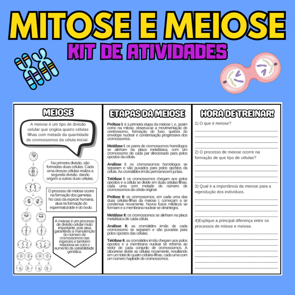 KIT – MITOSE E MEIOSE – Capivara Pedagógica