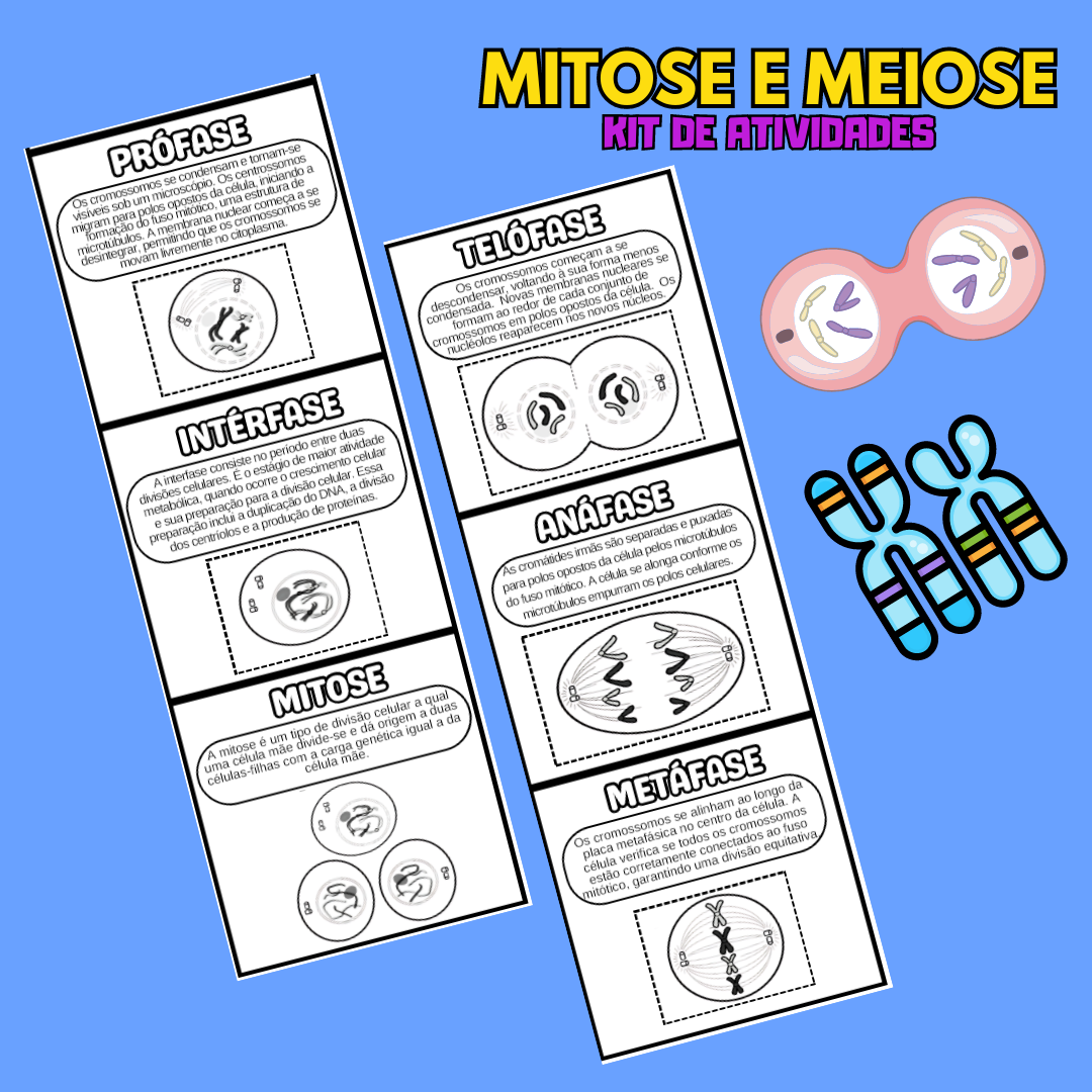 Atividade Mitose E Meiose - RETOEDU