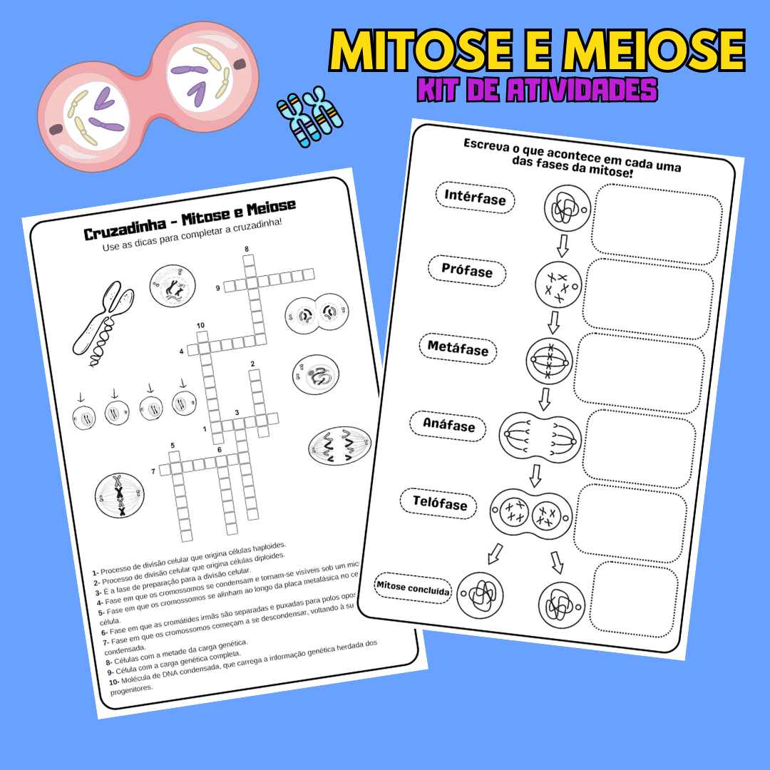 Atividade Mitose E Meiose - BINKEDU