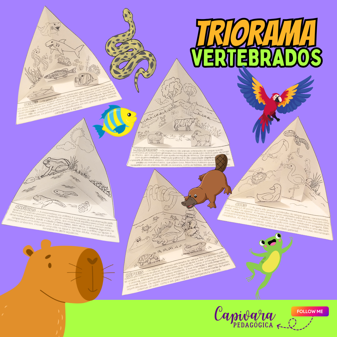 TRIORAMA – VERTEBRADOS – Capivara Pedagógica
