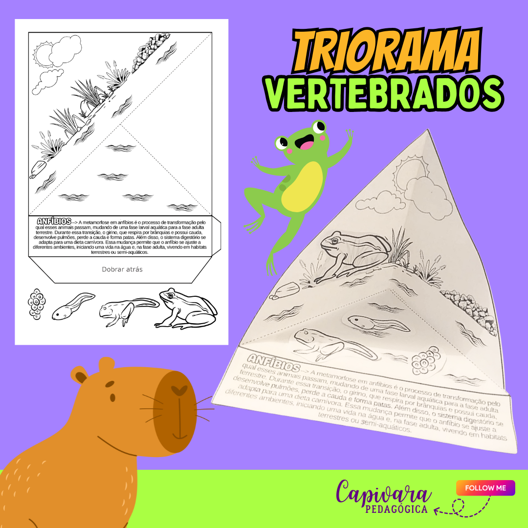 TRIORAMA – VERTEBRADOS – Capivara Pedagógica