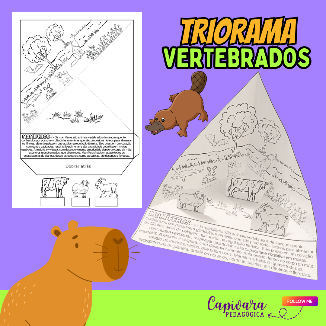 TRIORAMA – VERTEBRADOS – Capivara Pedagógica